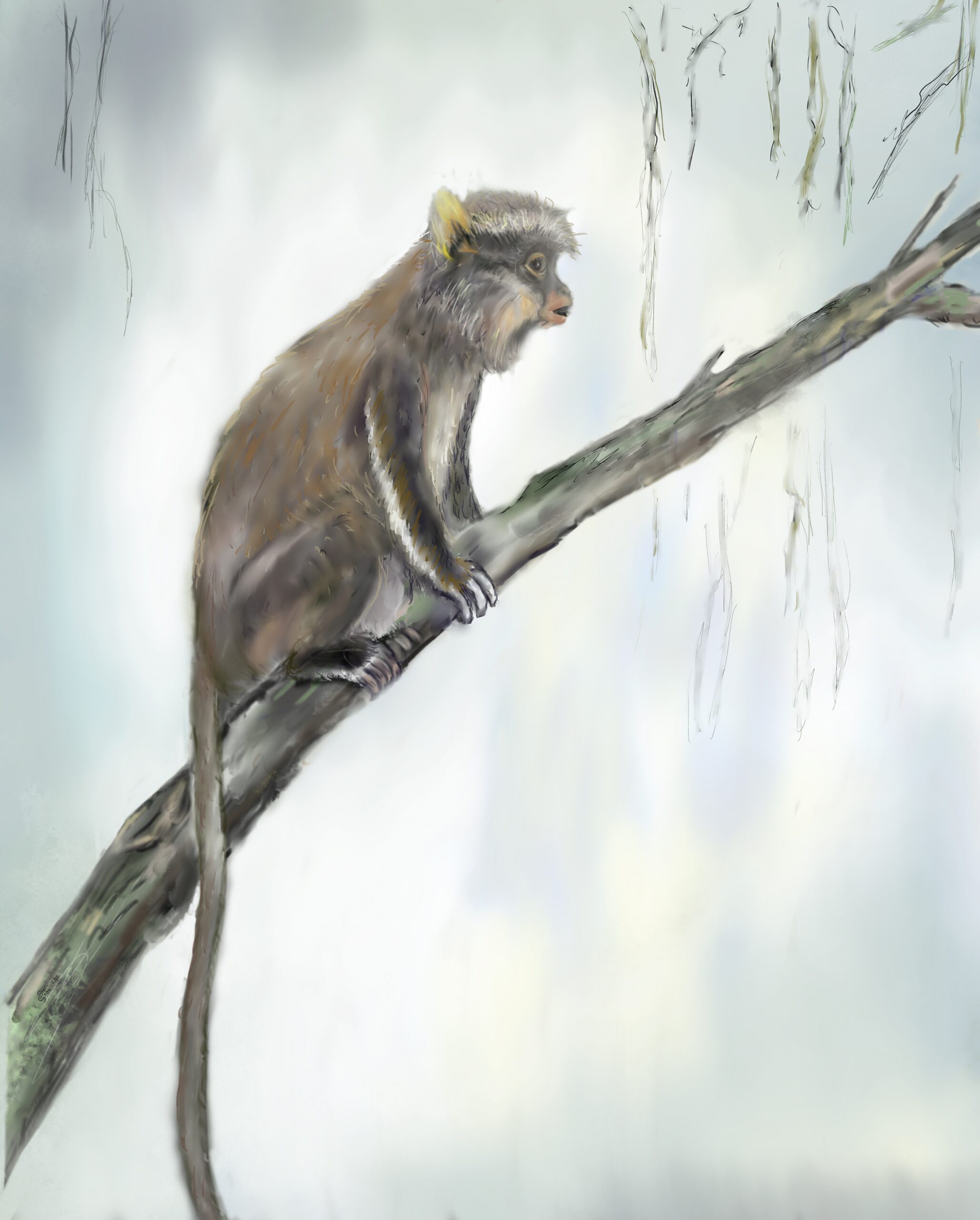 Mona Monkey - The Art of Sheri Graziano